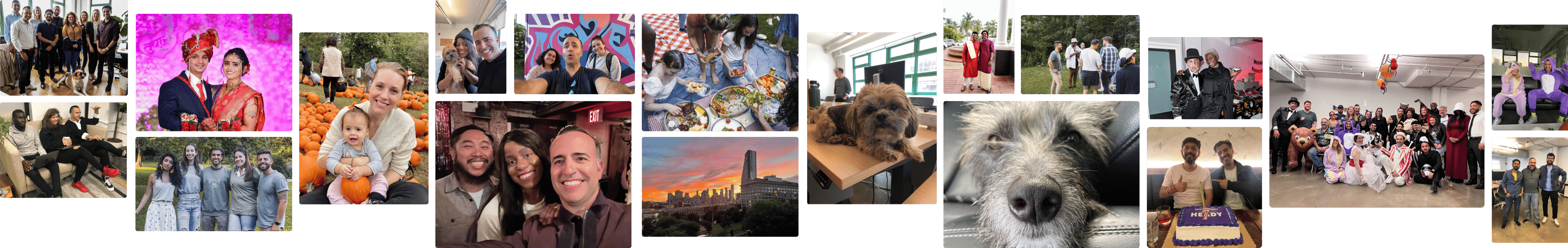 Careers - Mobile App Design & Development | Heady